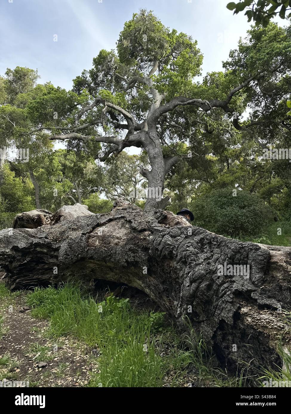 Middle of no where hi-res stock photography and images - Alamy