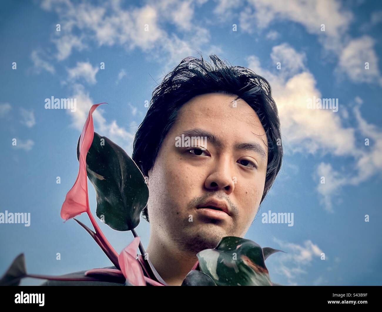 Low angle headshot of young Asian man framed by pink princess ...