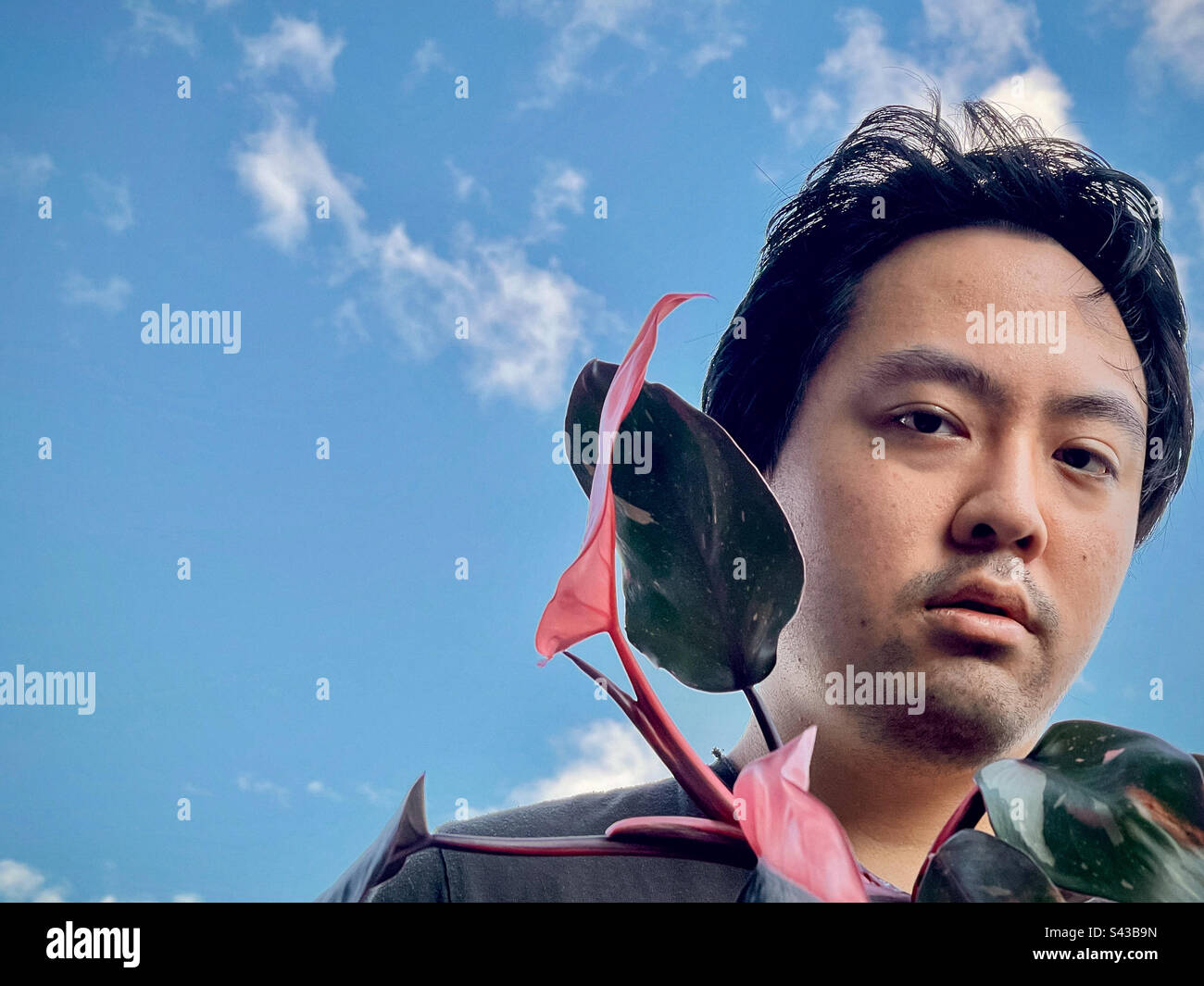 Low angle headshot of young Asian man framed by pink princess ...