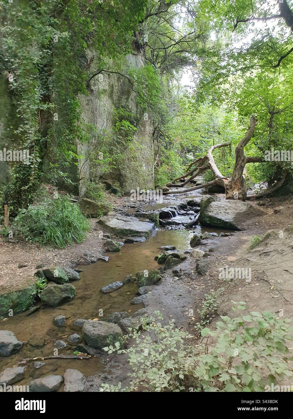 Cascate fiume hi-res stock photography and images - Alamy