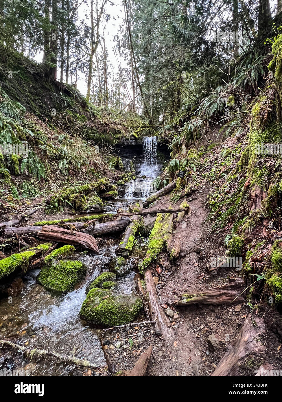 Hike trail waterfall hi-res stock photography and images - Alamy