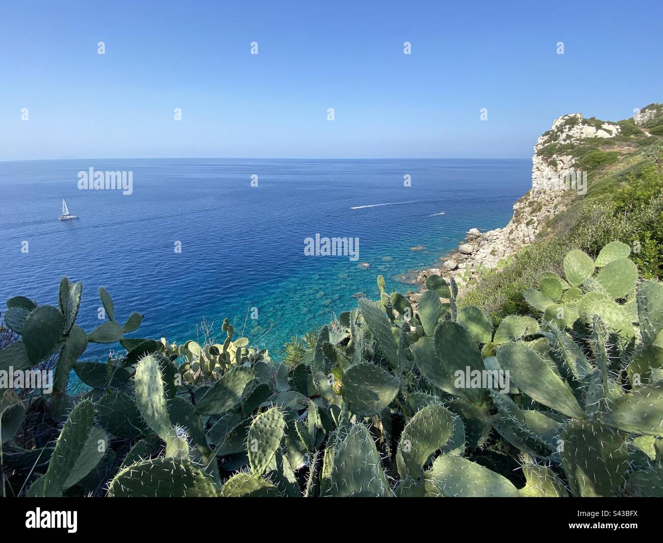 Magnifico parco hi-res stock photography and images - Alamy