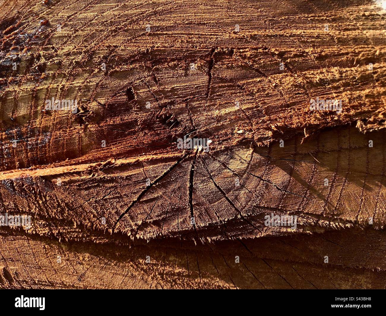 Patterns of the nature hi-res stock photography and images - Alamy
