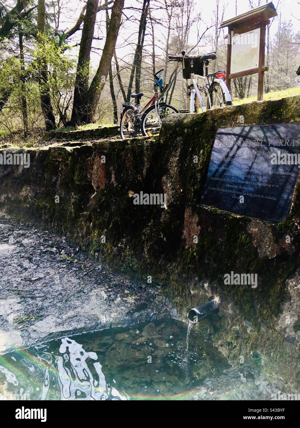 Bicycle ride to Feher Daniel forras (forest source well), next to Brook ...