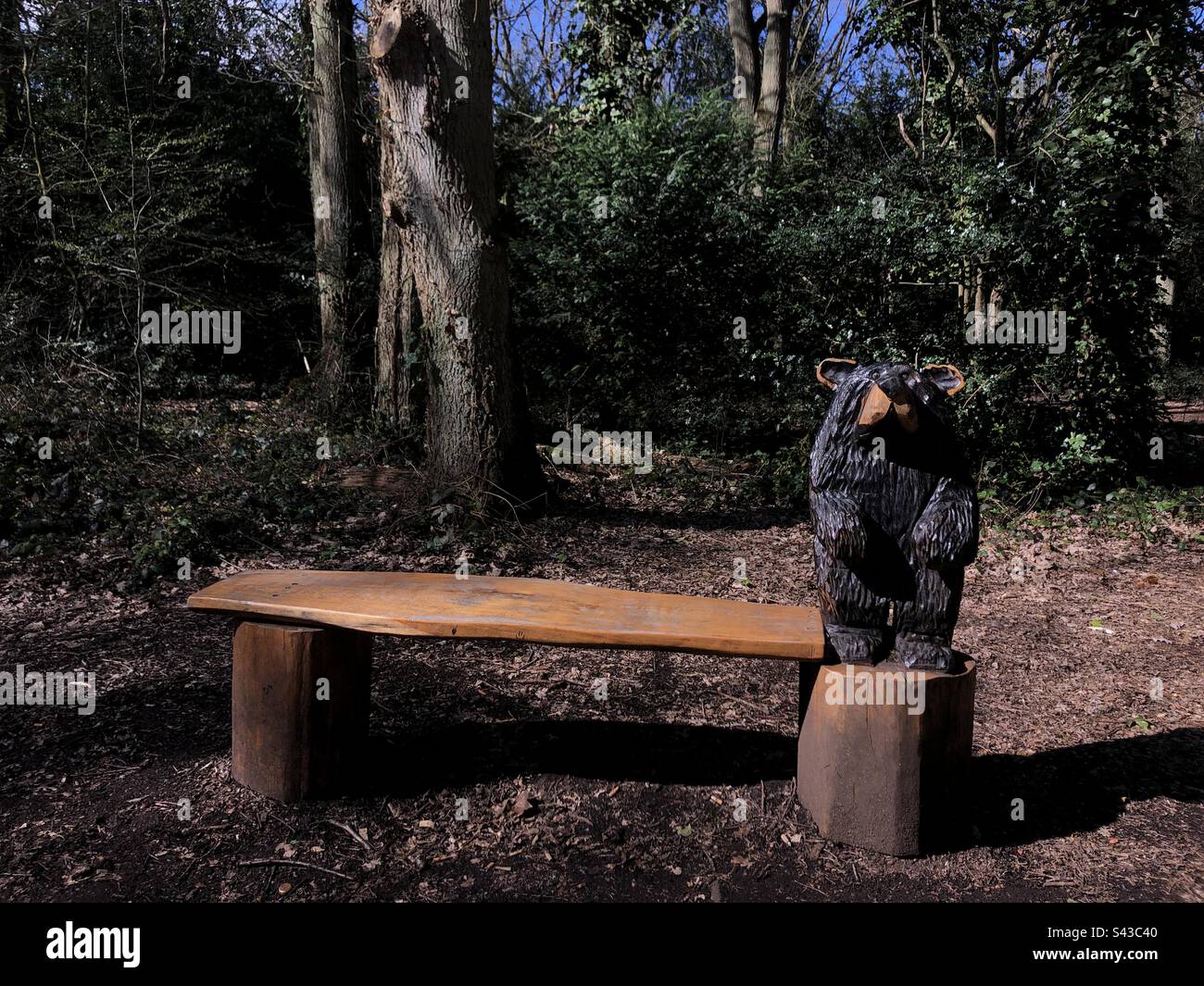 Carved bear on a park bench in London Stock Photo - Alamy