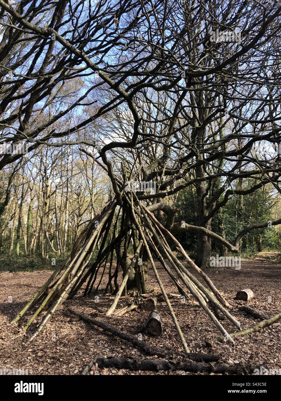 tree tent Made of Stack of wood branches Stock Photo - Alamy
