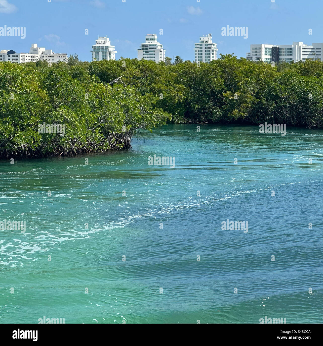Nichupte Lagoon, Cancun, Quintana Roo, Yucatan Peninsula, Mexico Stock ...