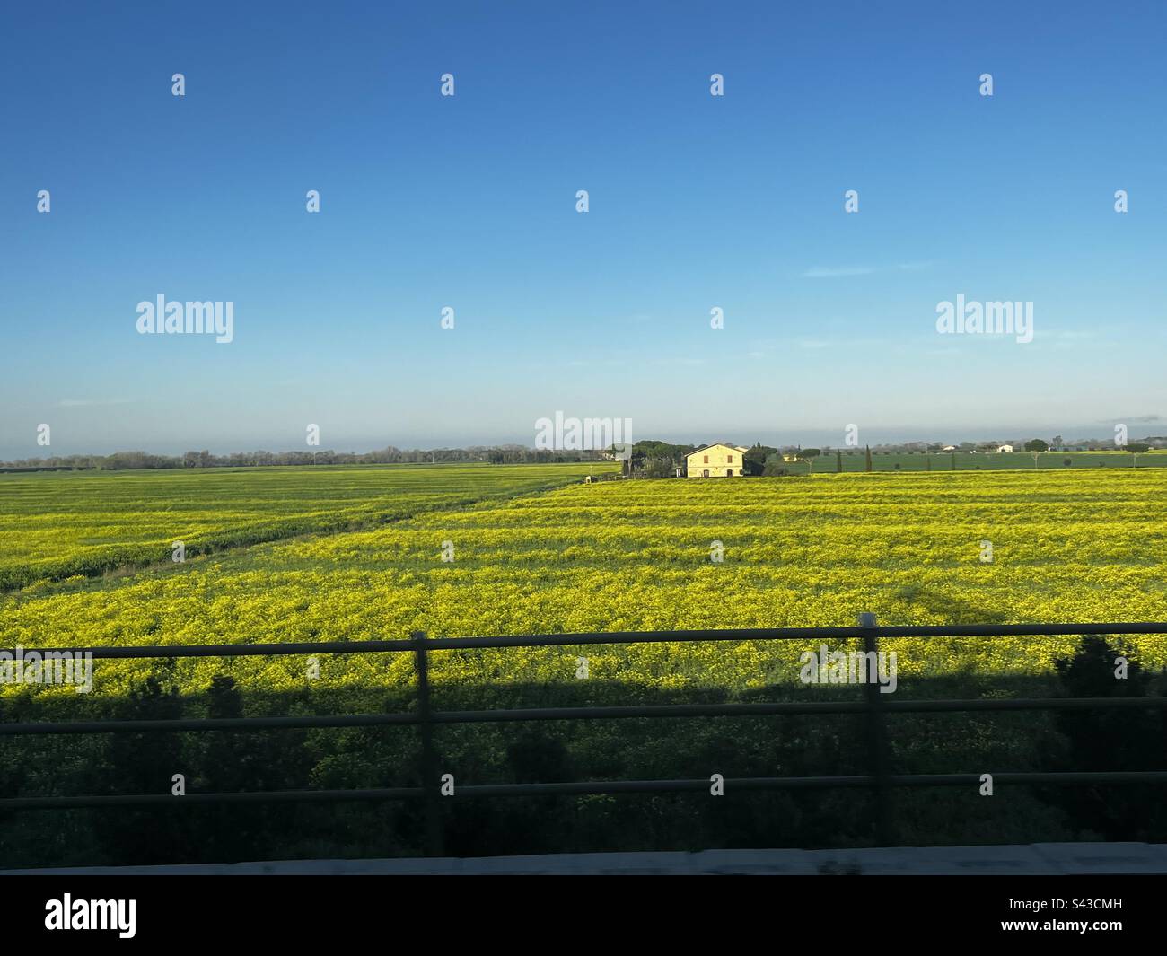 Life and beauty hi-res stock photography and images - Alamy