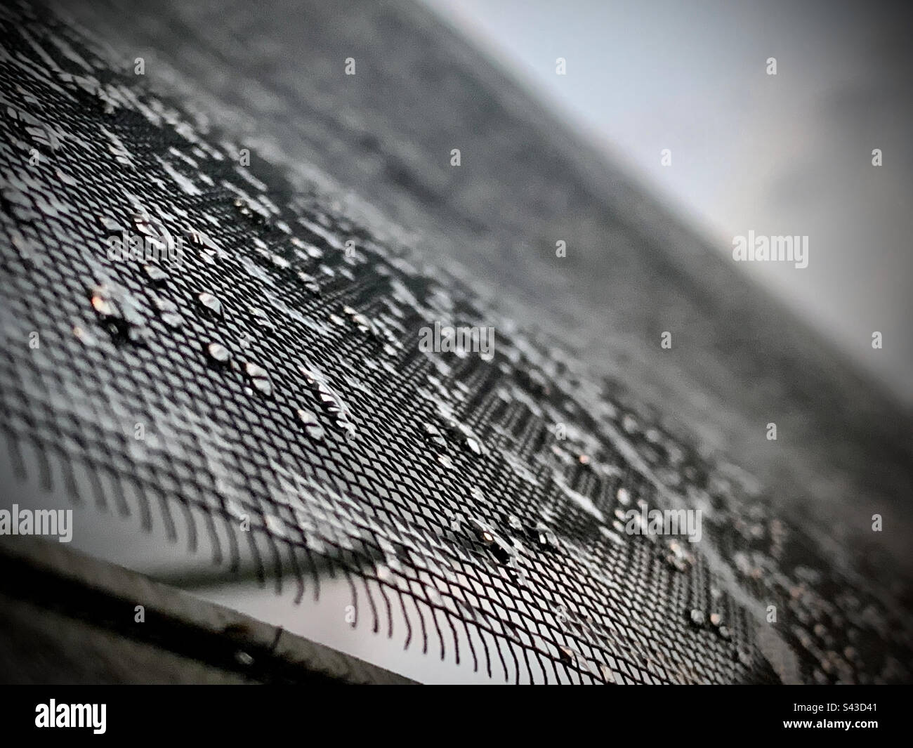 Rain drops on screen enclosure Stock Photo - Alamy