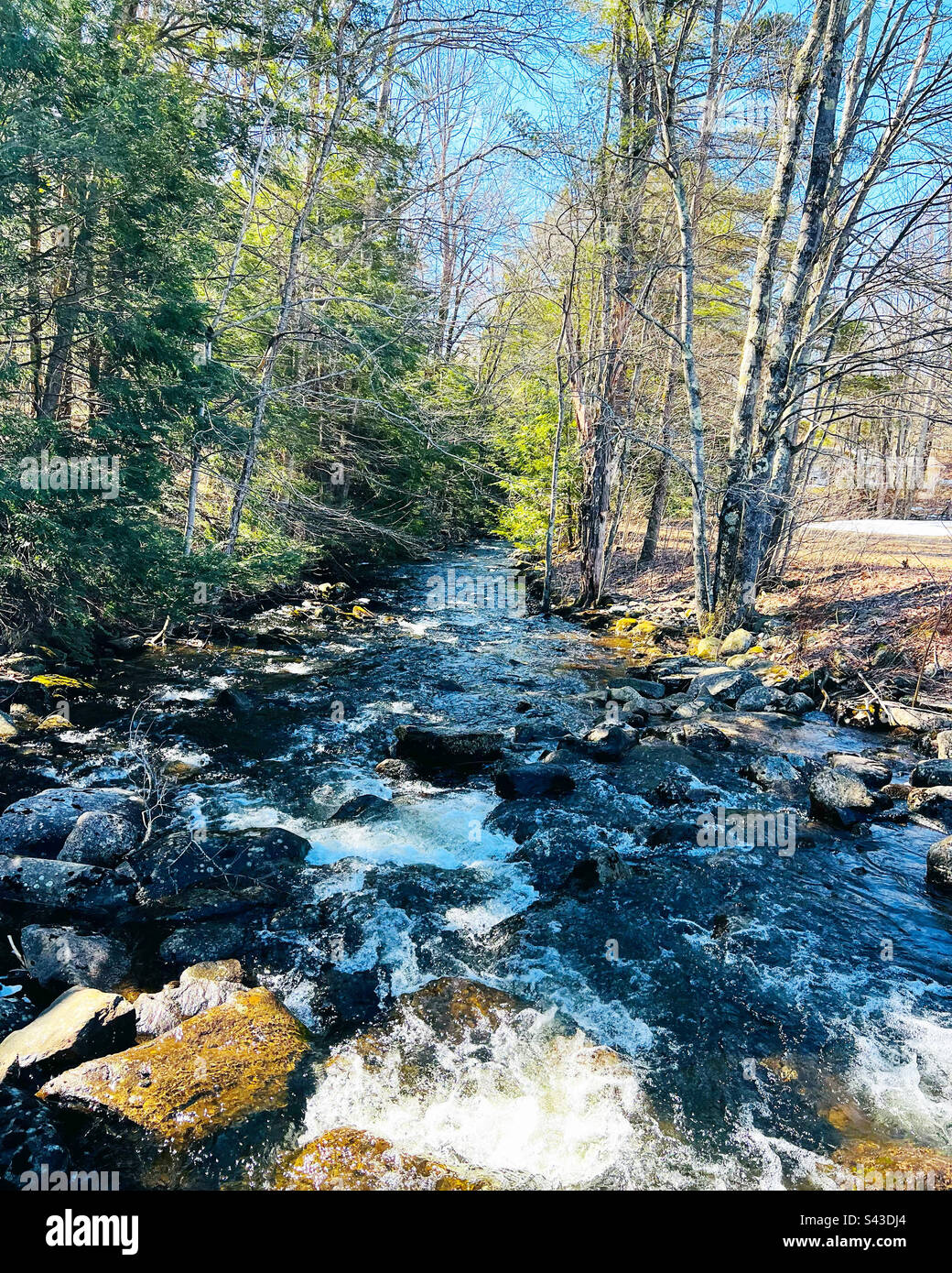 Creek rocks hi-res stock photography and images - Alamy
