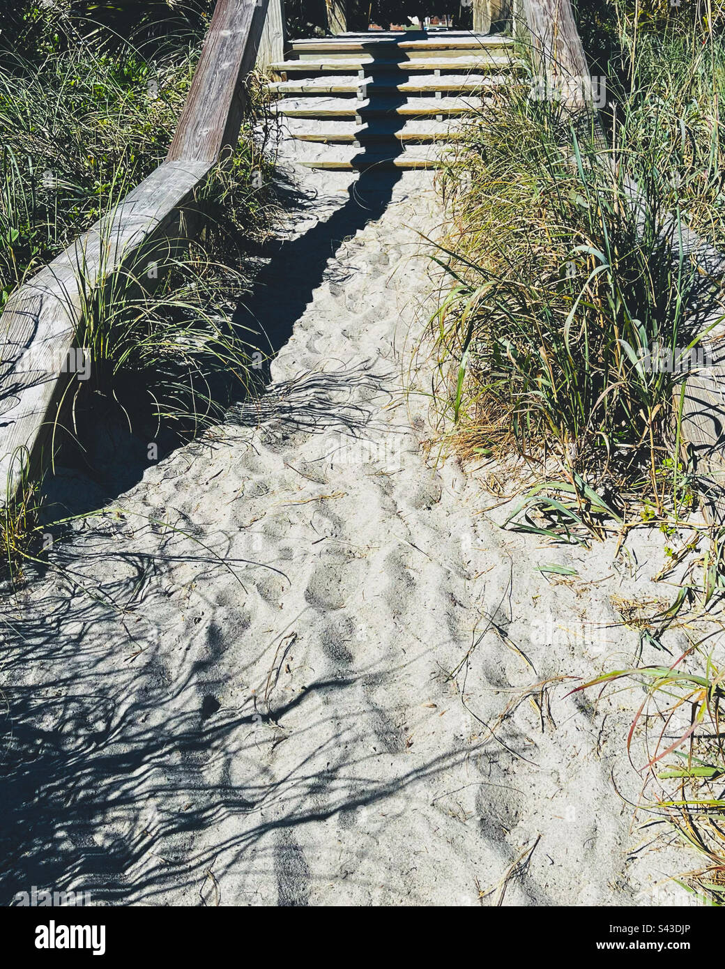 Steps and grass hi-res stock photography and images - Alamy
