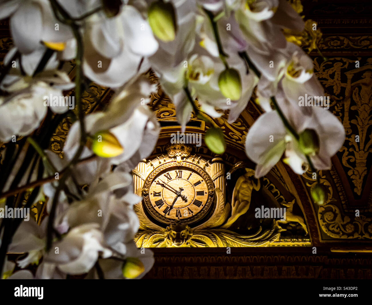 White flowers framing an antique clock with gold trim and intricate ...