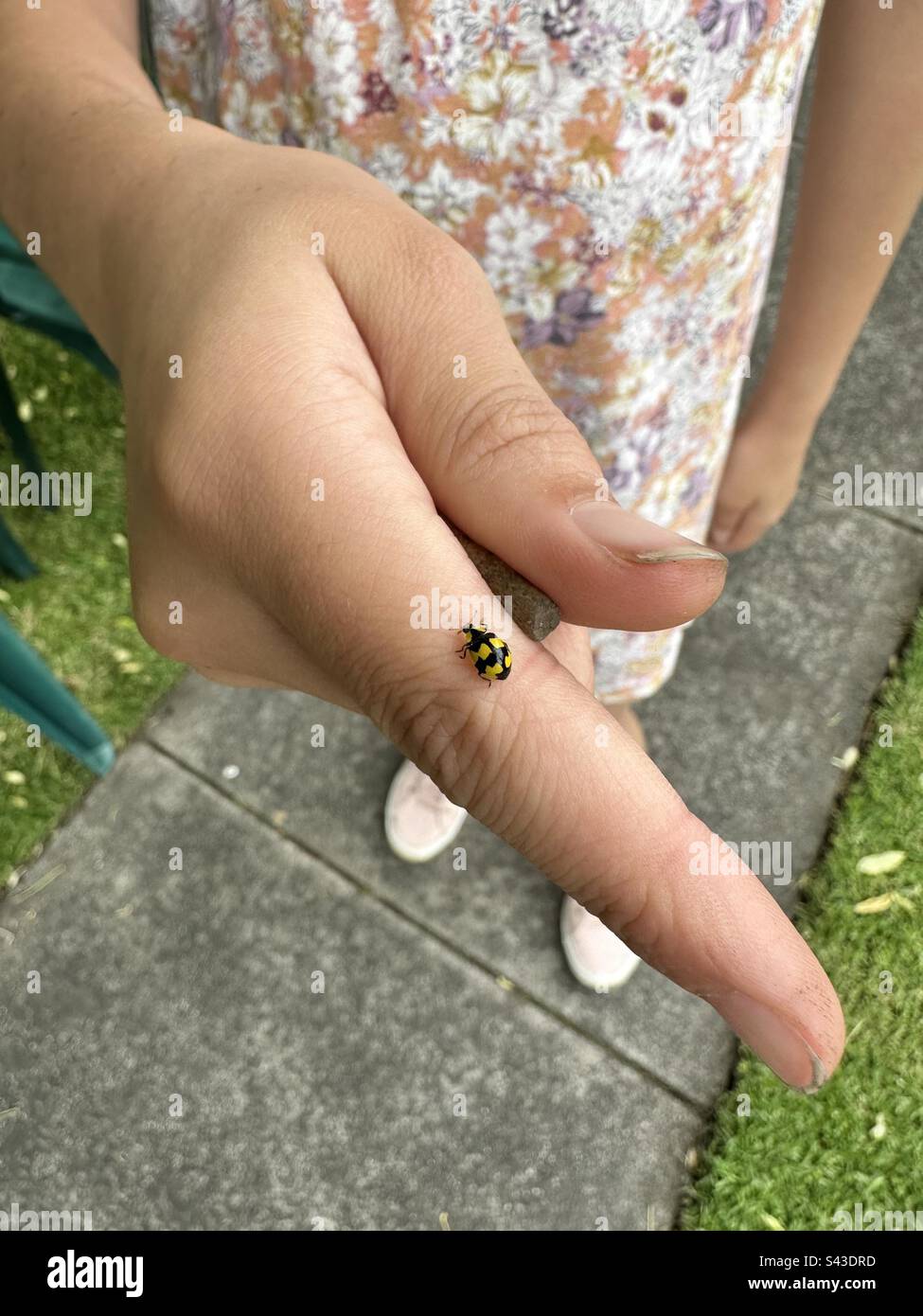 Children in nature hi-res stock photography and images - Alamy