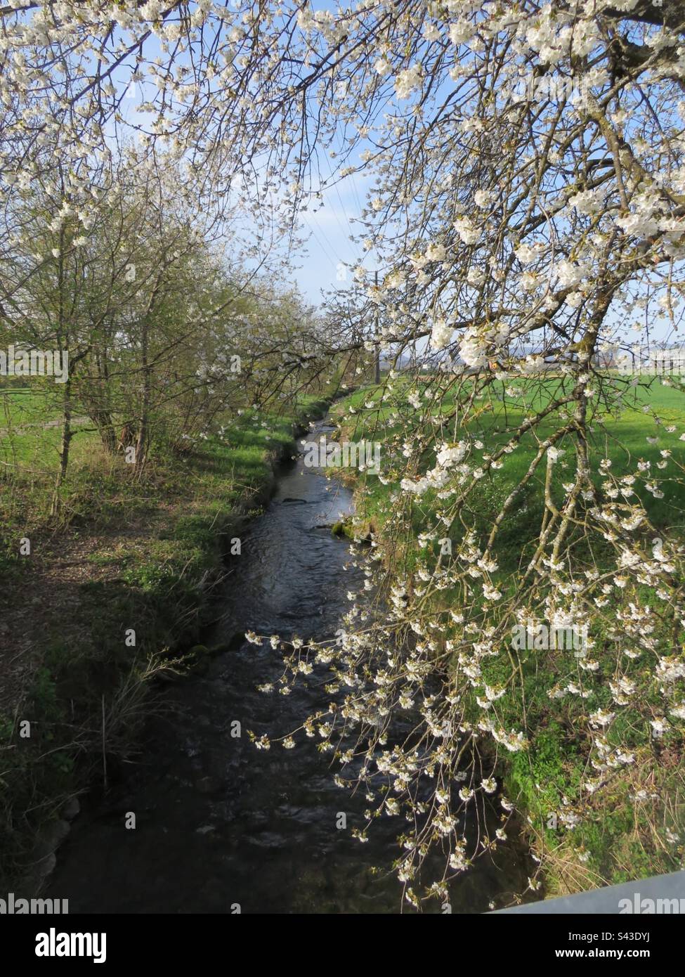 Moods of spring hi-res stock photography and images - Alamy