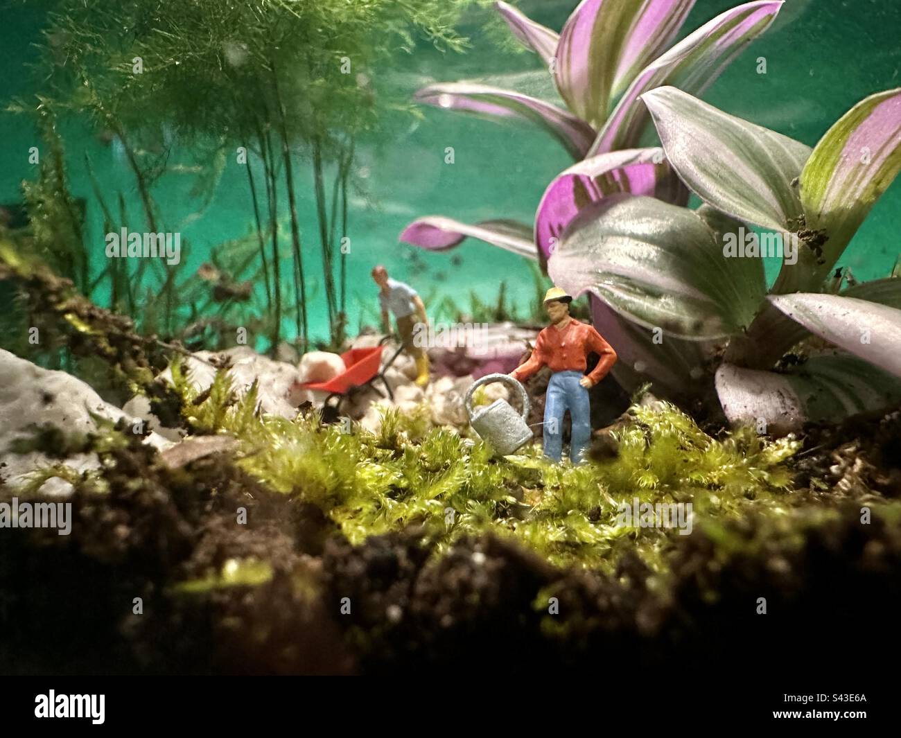 Miniature garden diorama hi-res stock photography and images - Alamy