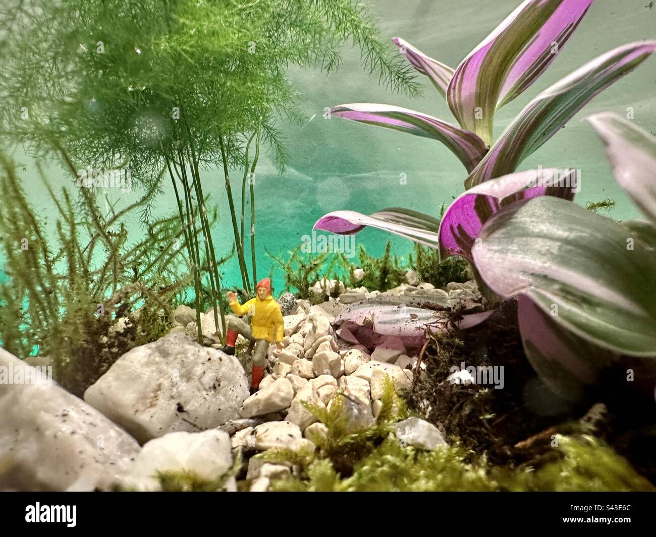 Miniature garden scene with a rock climber climbing over rocks Stock ...