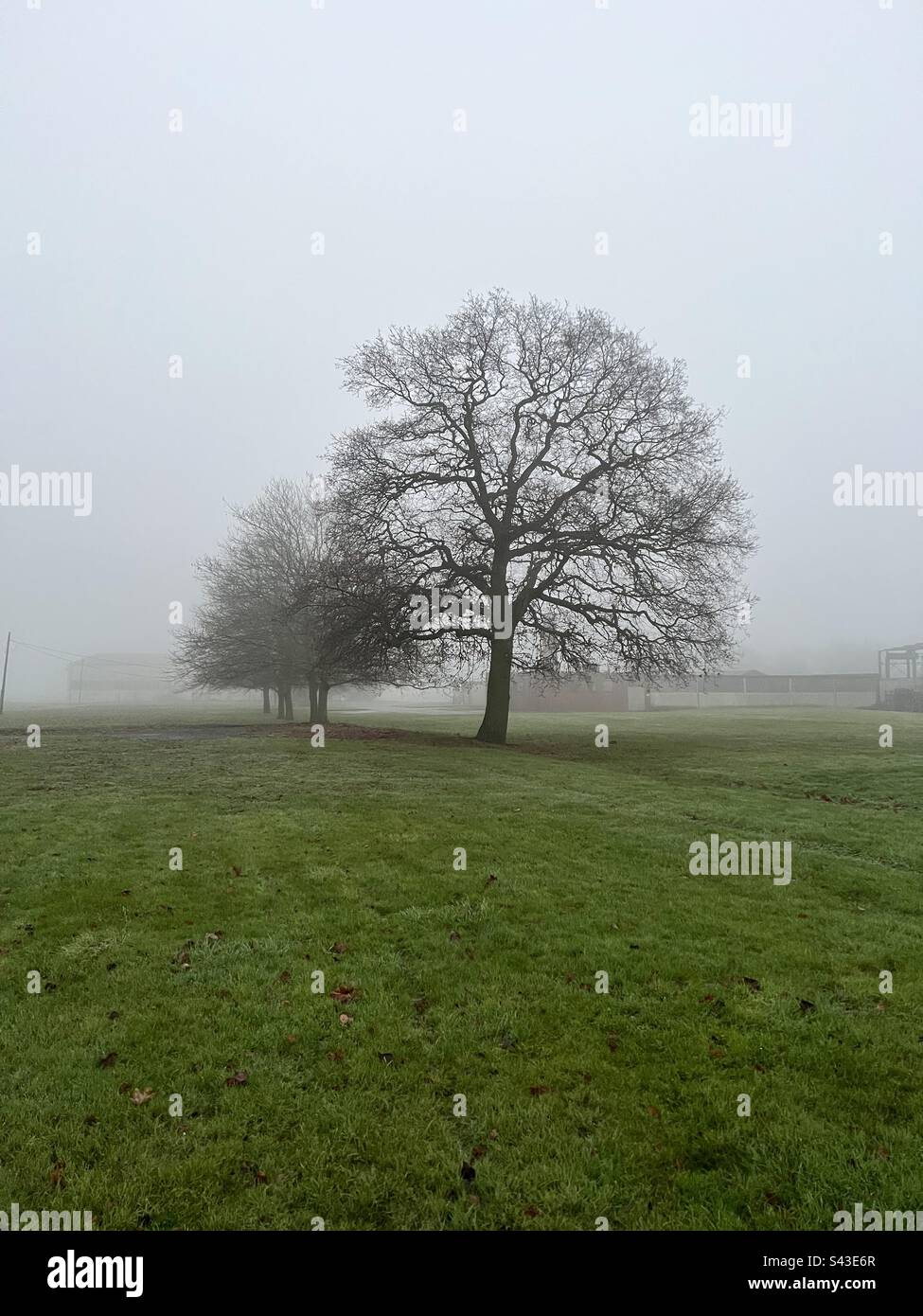 Grey misty morning hi-res stock photography and images - Alamy