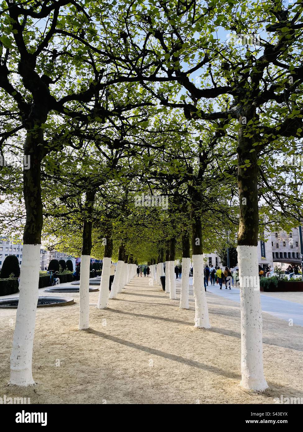 Wonderful places hi-res stock photography and images - Alamy