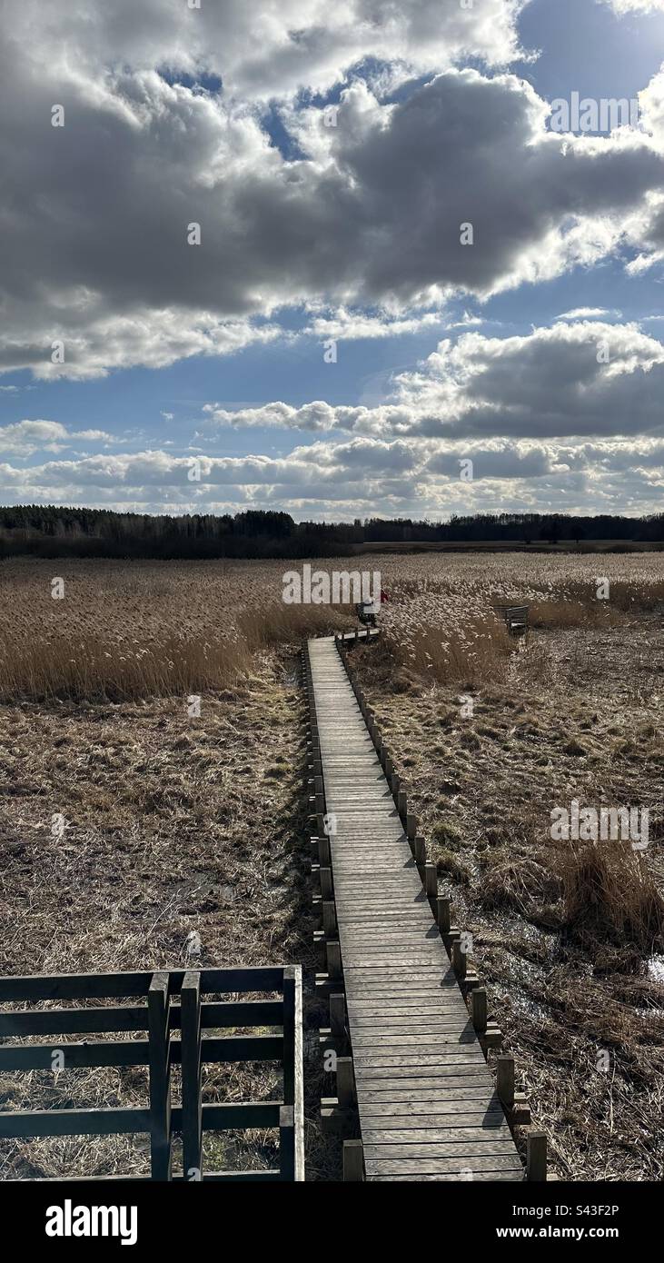 Polish village hi-res stock photography and images - Alamy