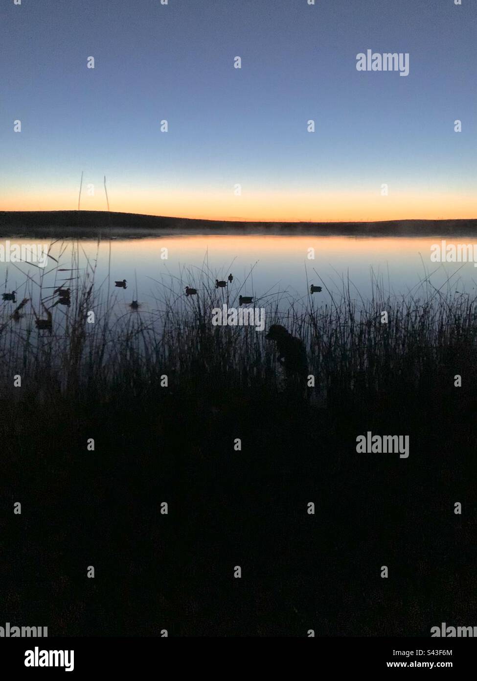 Sunrise duck hunting hi-res stock photography and images - Alamy