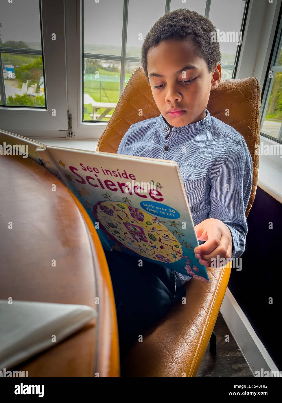 Boy studying science book hi-res stock photography and images - Alamy