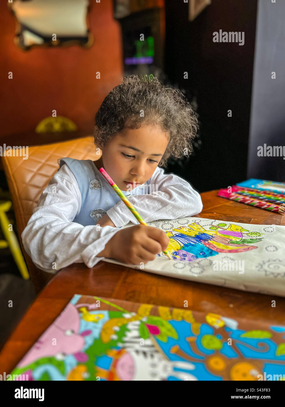 Young mixed race girl enjoying a colouring in book Stock Photo - Alamy