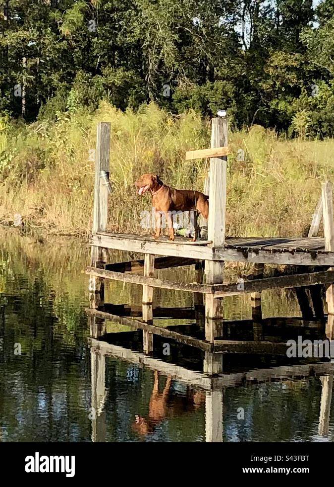 Rustic dock hi-res stock photography and images - Alamy