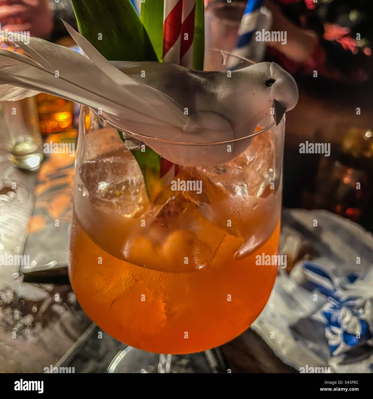 The Wash House, Manchester, cocktails Stock Photo - Alamy