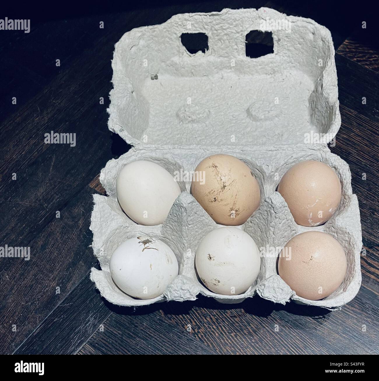 Laid eggs hi-res stock photography and images - Alamy