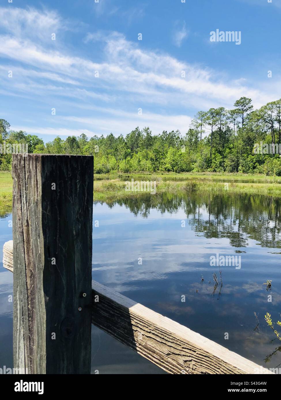 Vibrant pond hi-res stock photography and images - Alamy