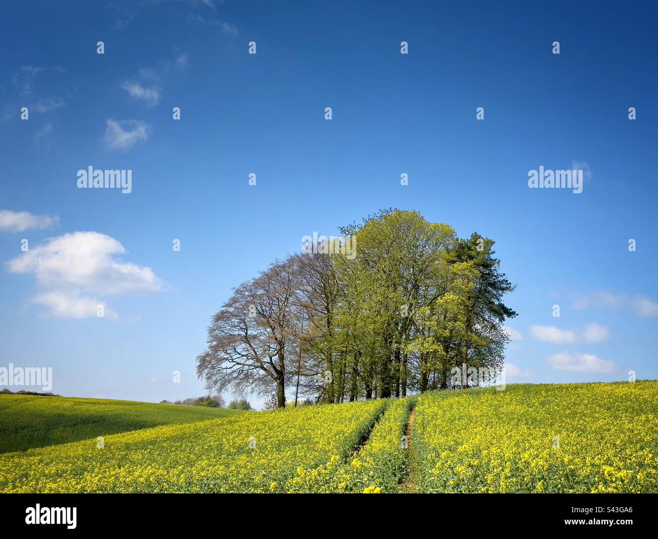 Leading lines in a field hi-res stock photography and images - Alamy