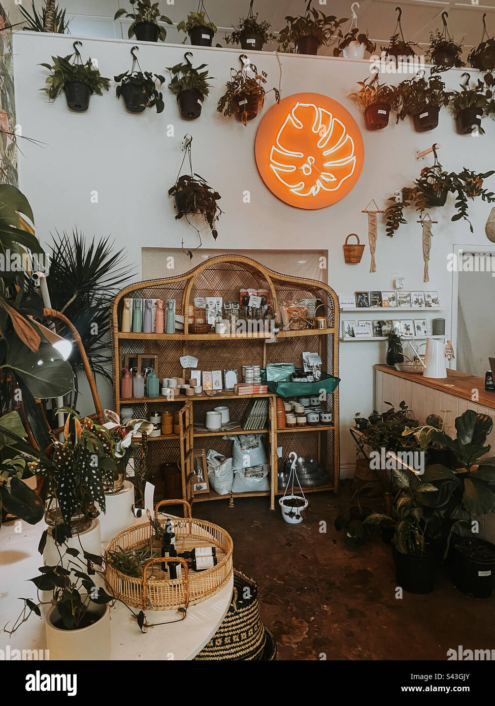 Boho plant pots hi-res stock photography and images - Alamy