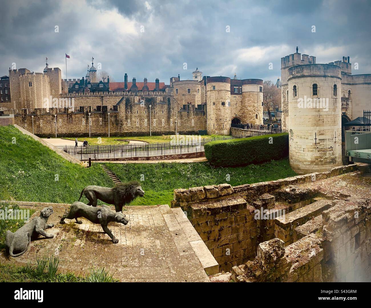 London lion view hi-res stock photography and images - Alamy