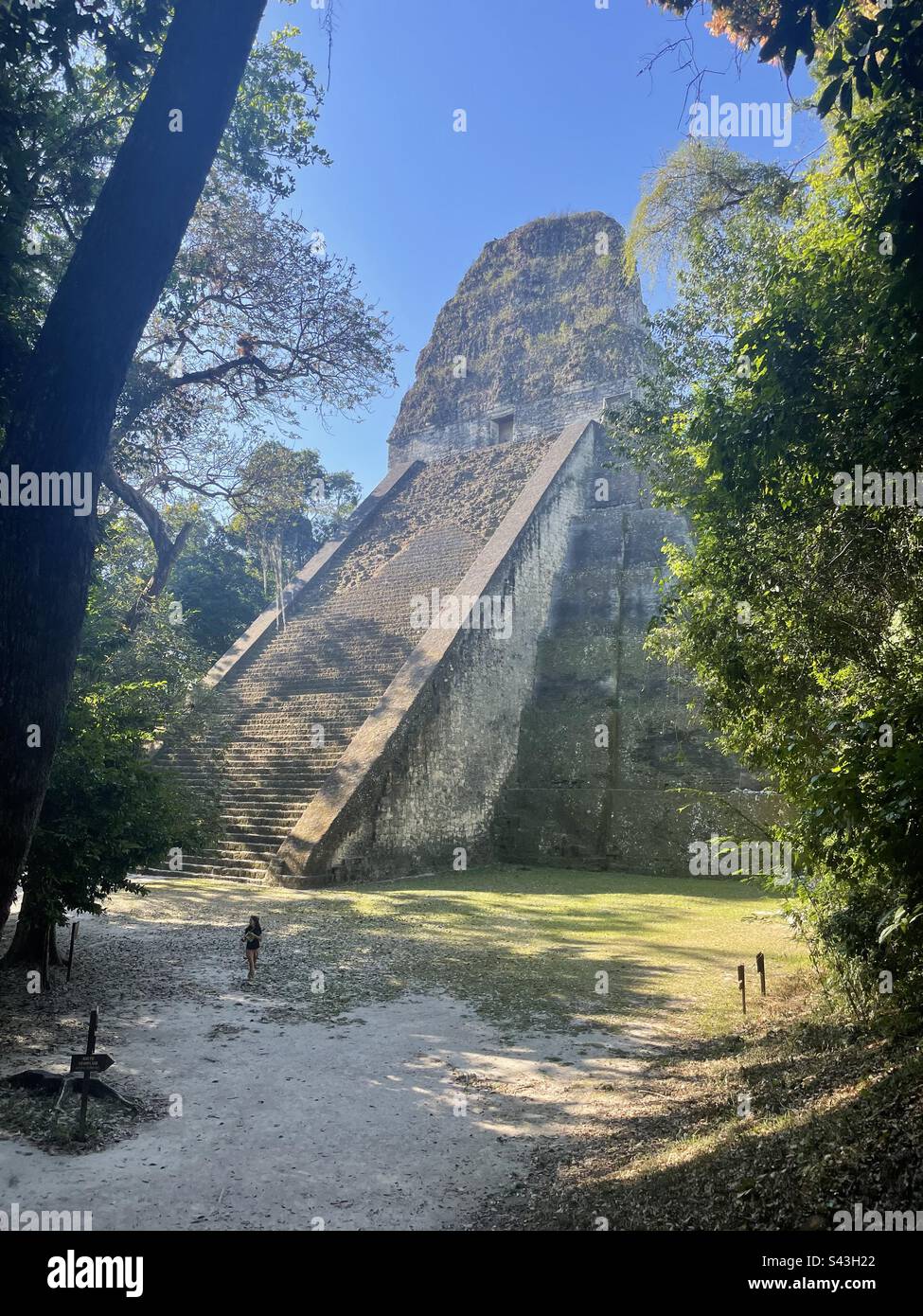Mayan Pyramid in Tikal Stock Photo - Alamy