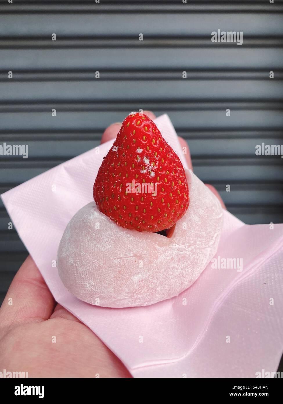Japanese Strawberry Pudding