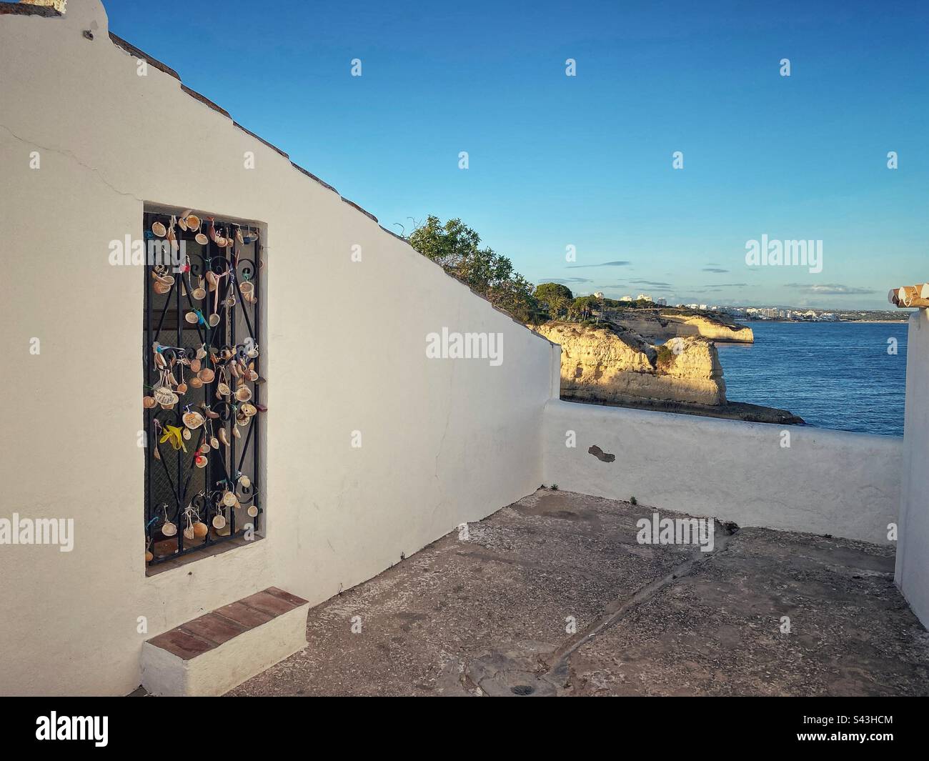 Sea shells in portugal hi-res stock photography and images - Alamy