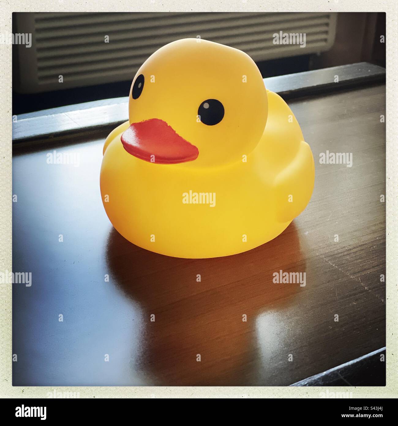 Ducky duck hi-res stock photography and images - Alamy
