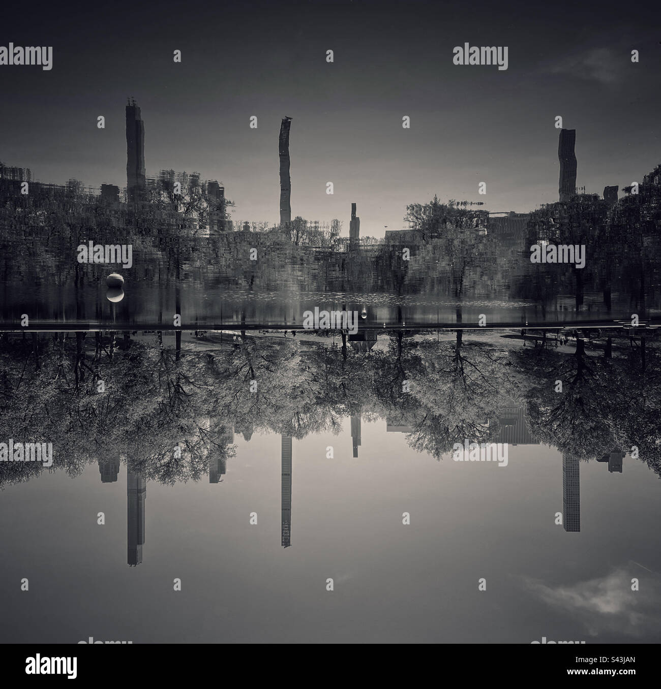 Black and white central park landscape hi-res stock photography and ...