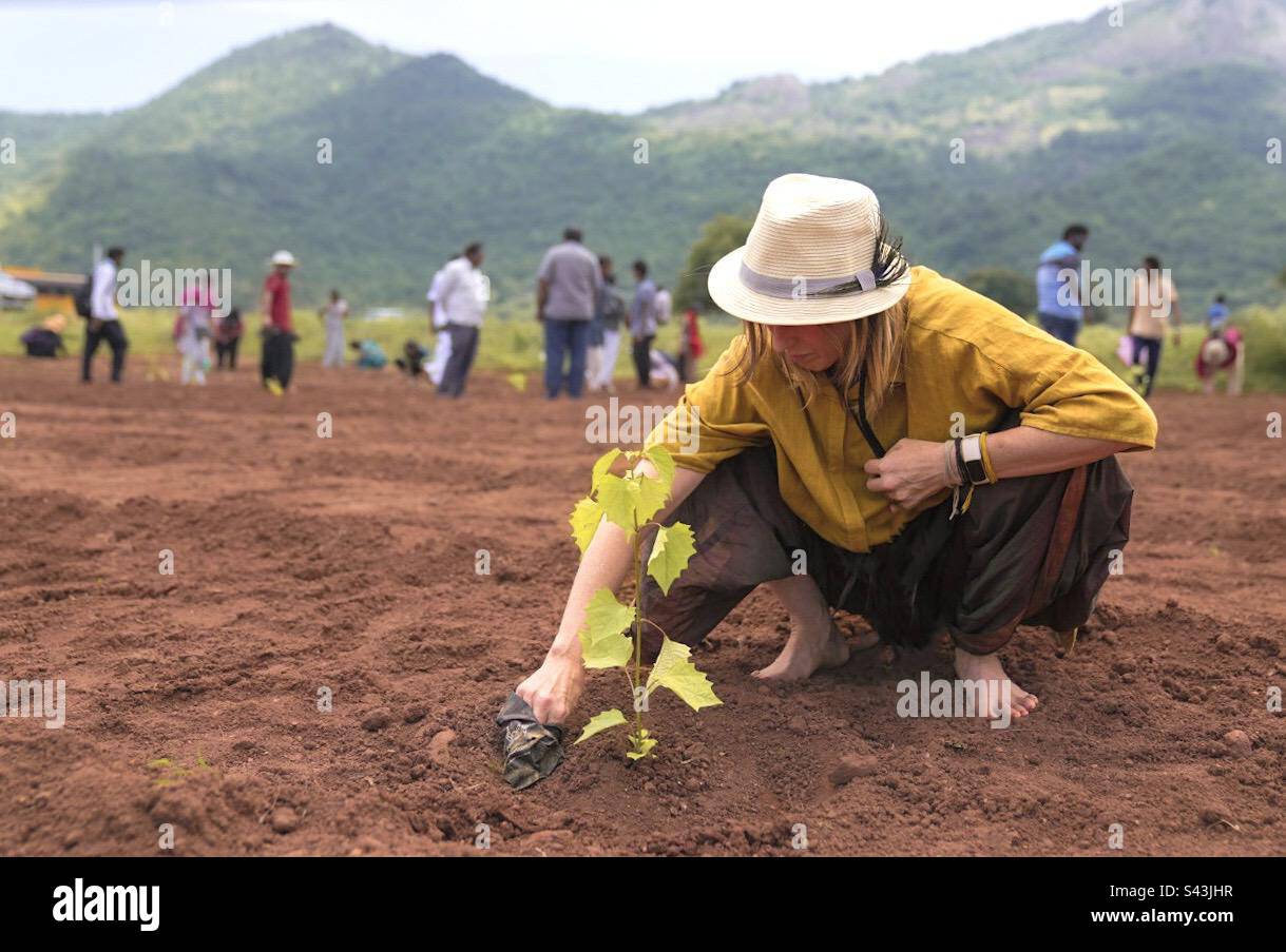 Woman barefoot, wearing a hat crouches in a field to plant a tree in ...