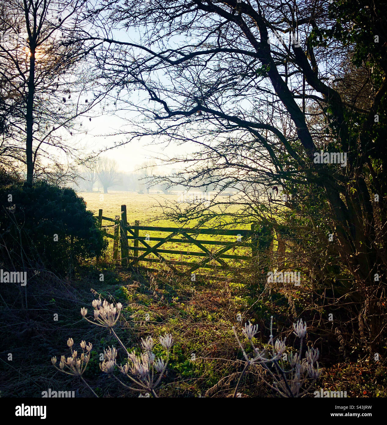 Rural life in england hi-res stock photography and images - Alamy