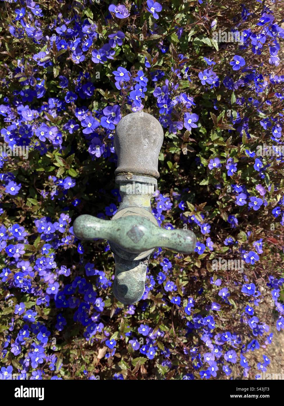 Case of need hi-res stock photography and images - Alamy