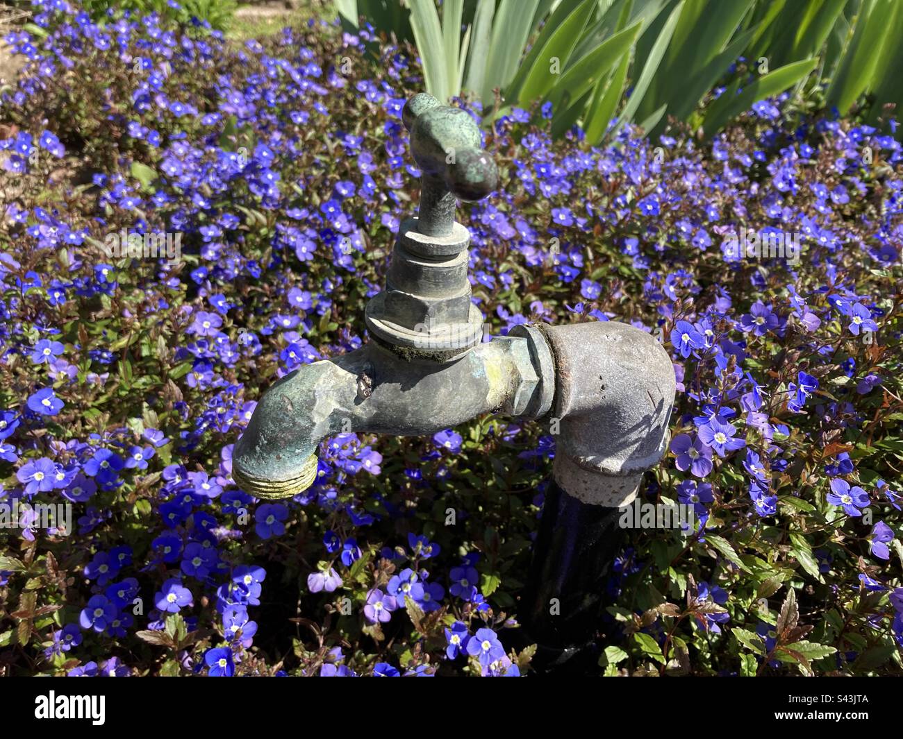 Stopcock on off hi-res stock photography and images - Alamy