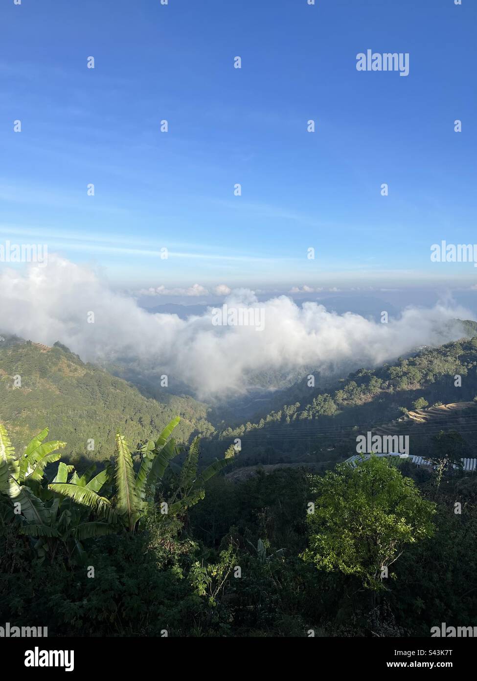 Atok benguet hi-res stock photography and images - Alamy