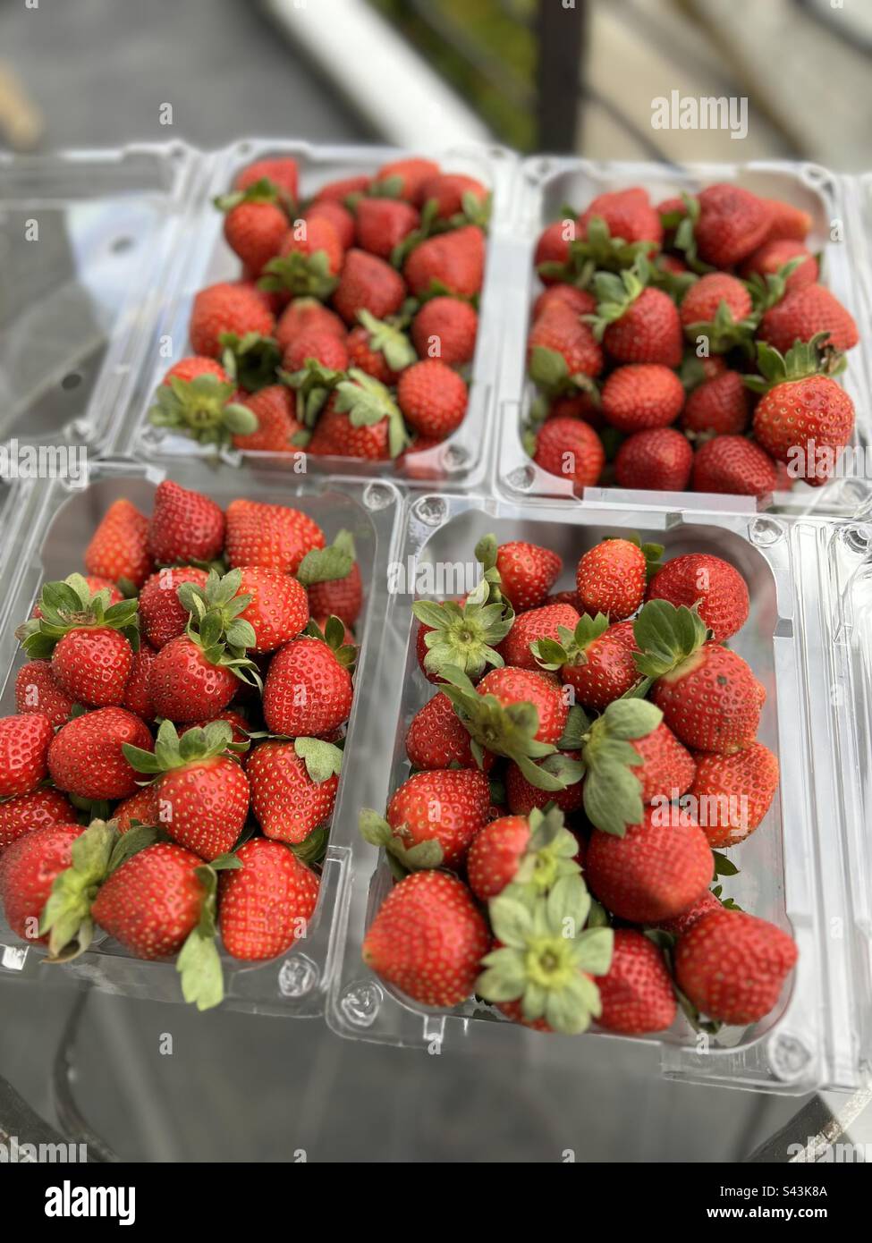 La trinidad strawberry farm hi-res stock photography and images - Alamy