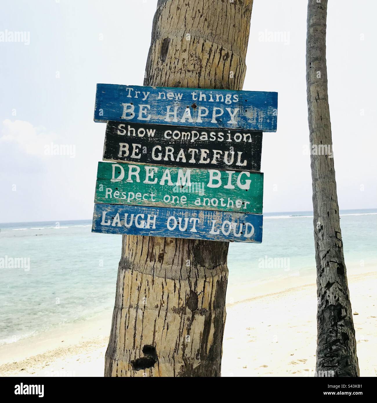 Palm tree sign hi-res stock photography and images - Alamy