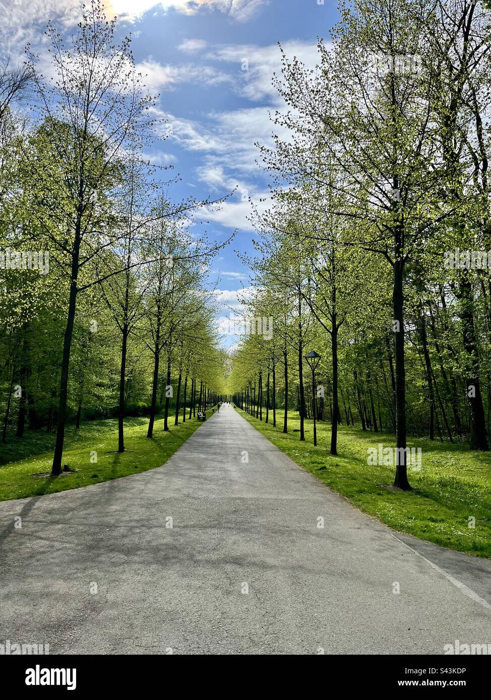 Symmetry in nature hi-res stock photography and images - Alamy