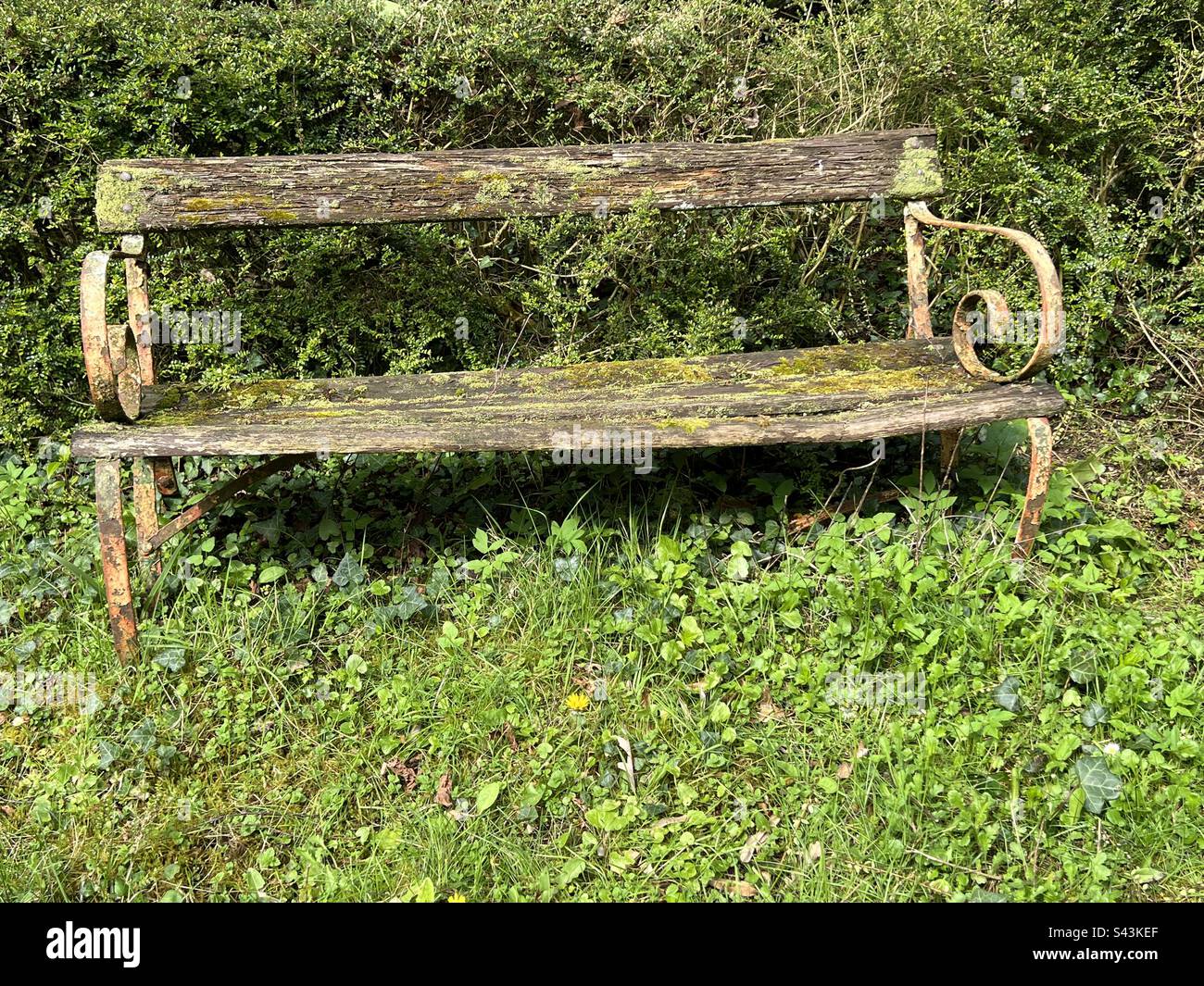 Pretty English bench in English country garden Stock Photo - Alamy