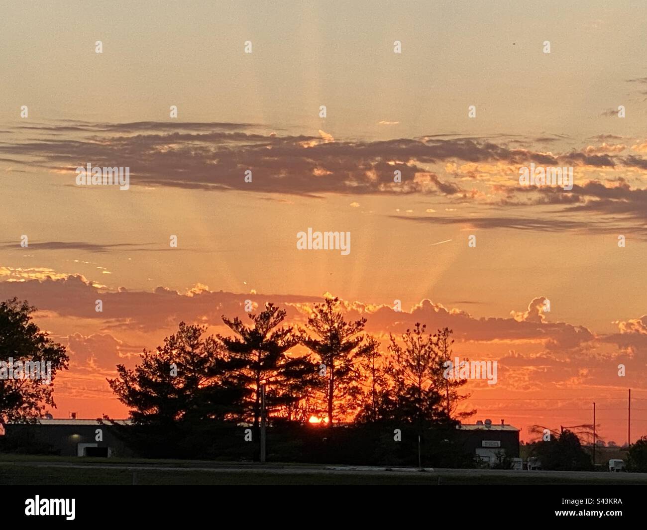 Sunbeams and trees hi-res stock photography and images - Alamy