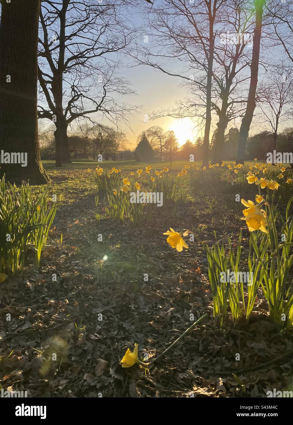 Heath cardiff hi-res stock photography and images - Alamy