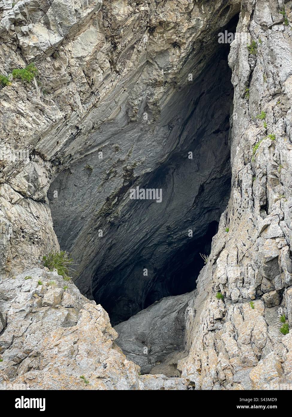 The entrance to Paviland cave (Goat’s hole cave), South Gower, Swansea ...